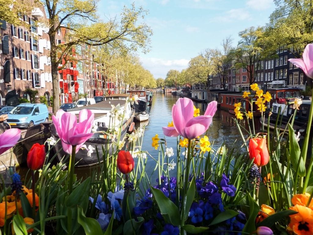 The Netherlands Travel Guide + Road Trip Itinerary