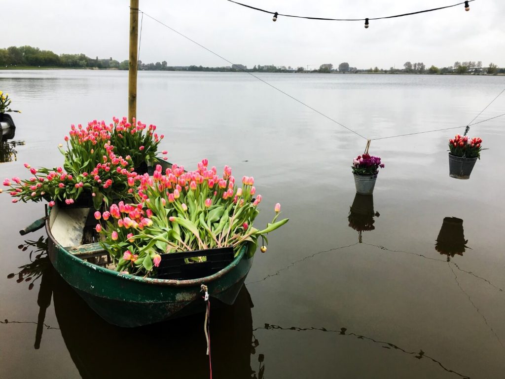 Lisse Travel Guide: Top Things to Do in Lisse | Moon & Honey Travel