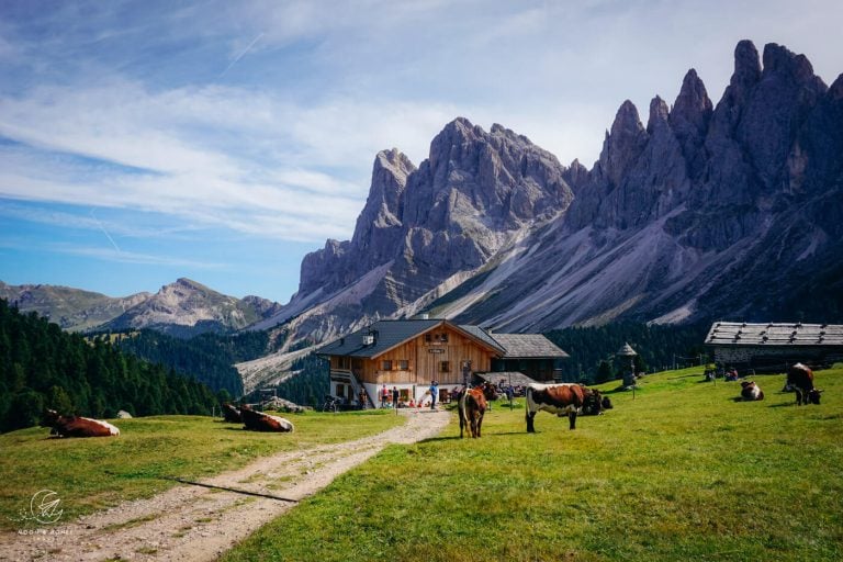 Resciesa - Brogles Hut - Seceda Hike, Dolomites