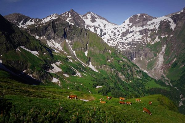 Austrian Alps: 15 Top Hiking Destinations | Moon & Honey Travel