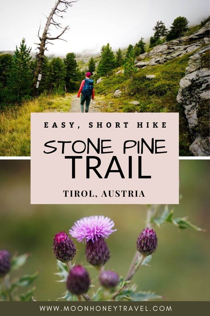 Stone Pine Path (Zirbenweg): Easy Hike near Innsbruck, Tyrol