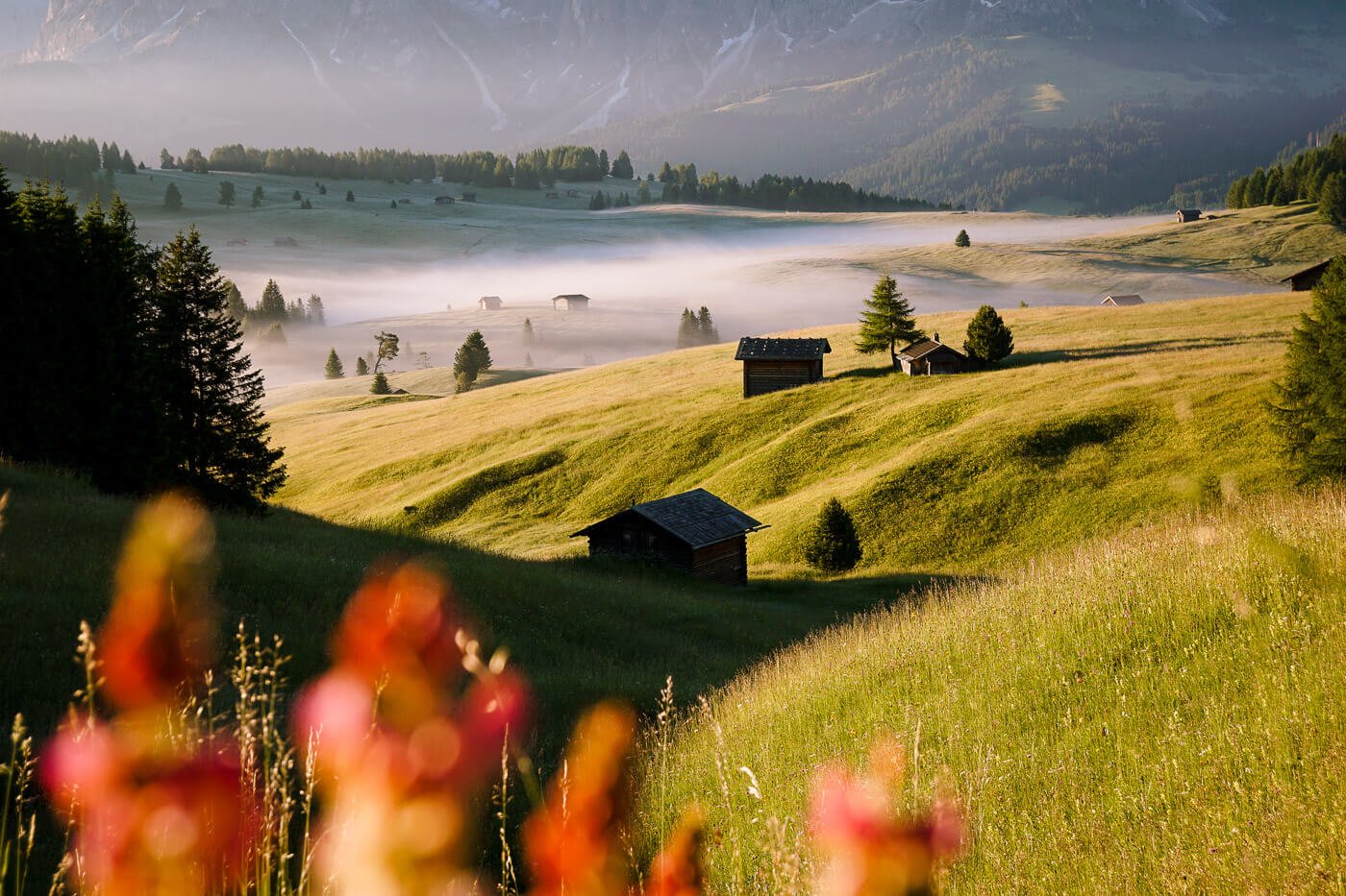 Complete Guide to Visiting Alpe di Siusi, Italy