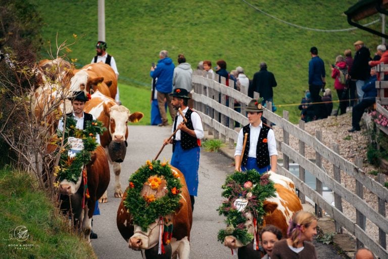 Almabtrieb: Cattle Drive Festival in Austria & the Alps
