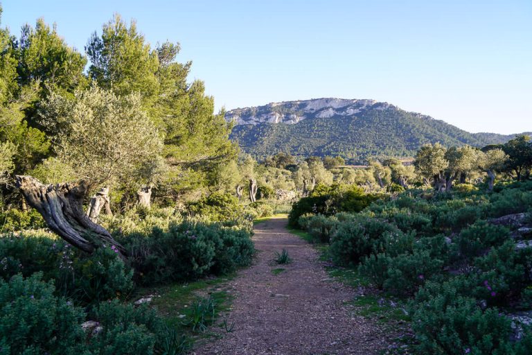 5 Things to Do in Mallorca in April (+ Weather)