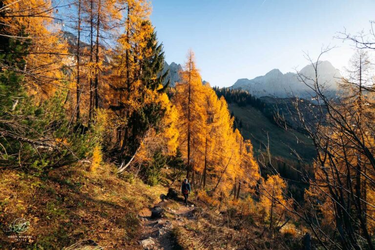Autumn in Austria: Top Destinations for a Fall Trip