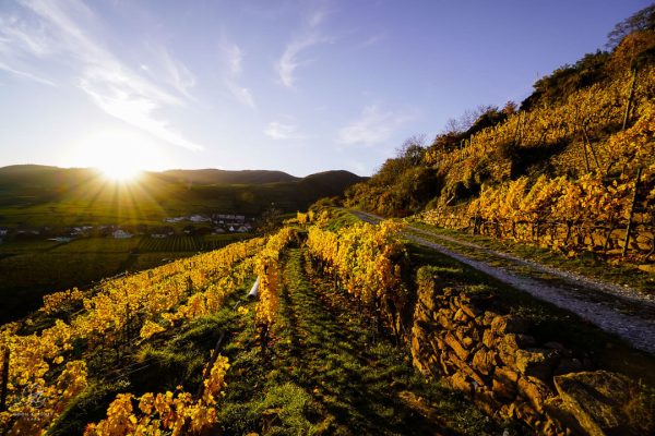 How to Visit the Wachau Valley in Austria | Moon & Honey Travel