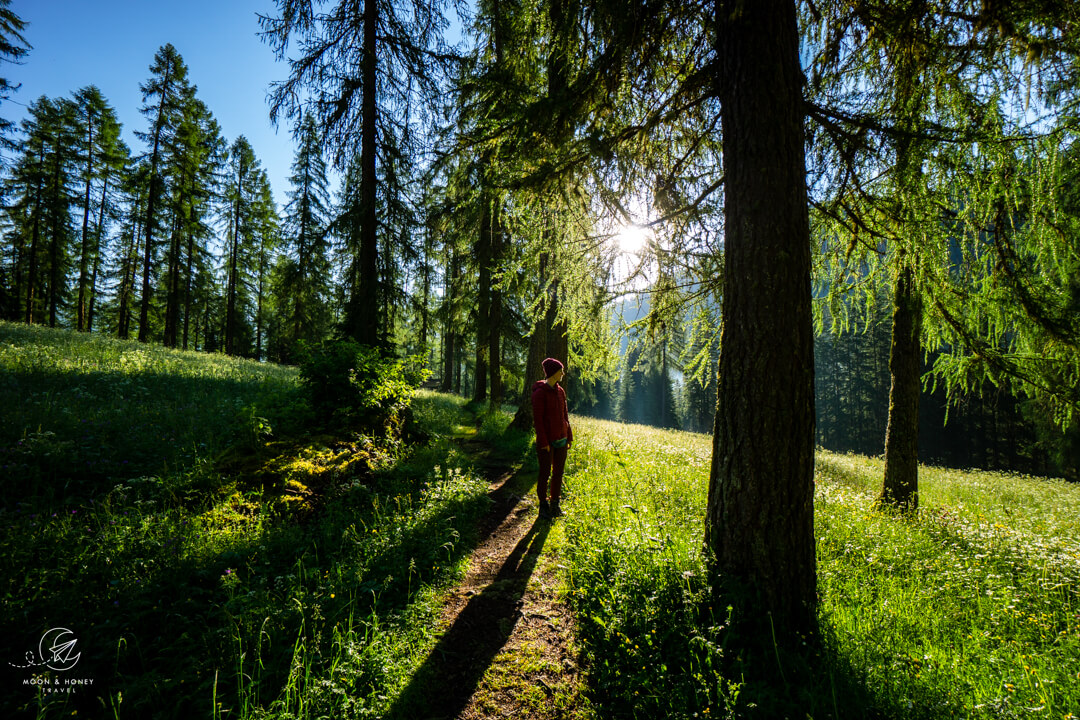 How to Visit Val Fiscalina (Fischleintal) in the Dolomites, Italy