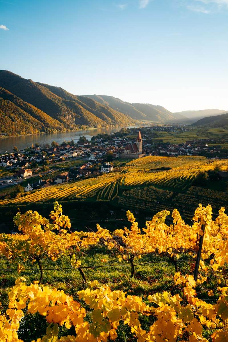 How to Visit Wachau Valley: Attractions, Hikes, Hotels