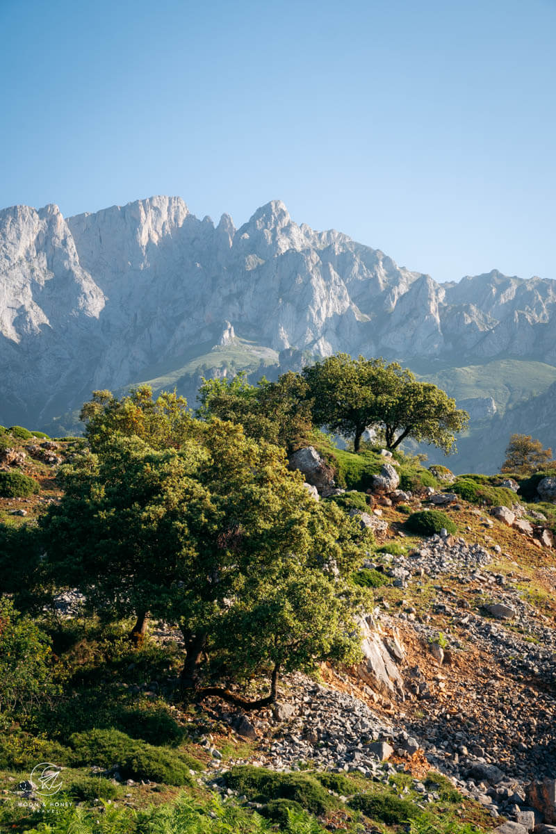Brez to Canal de las Arredondas Hike, Picos de Europa, Spain