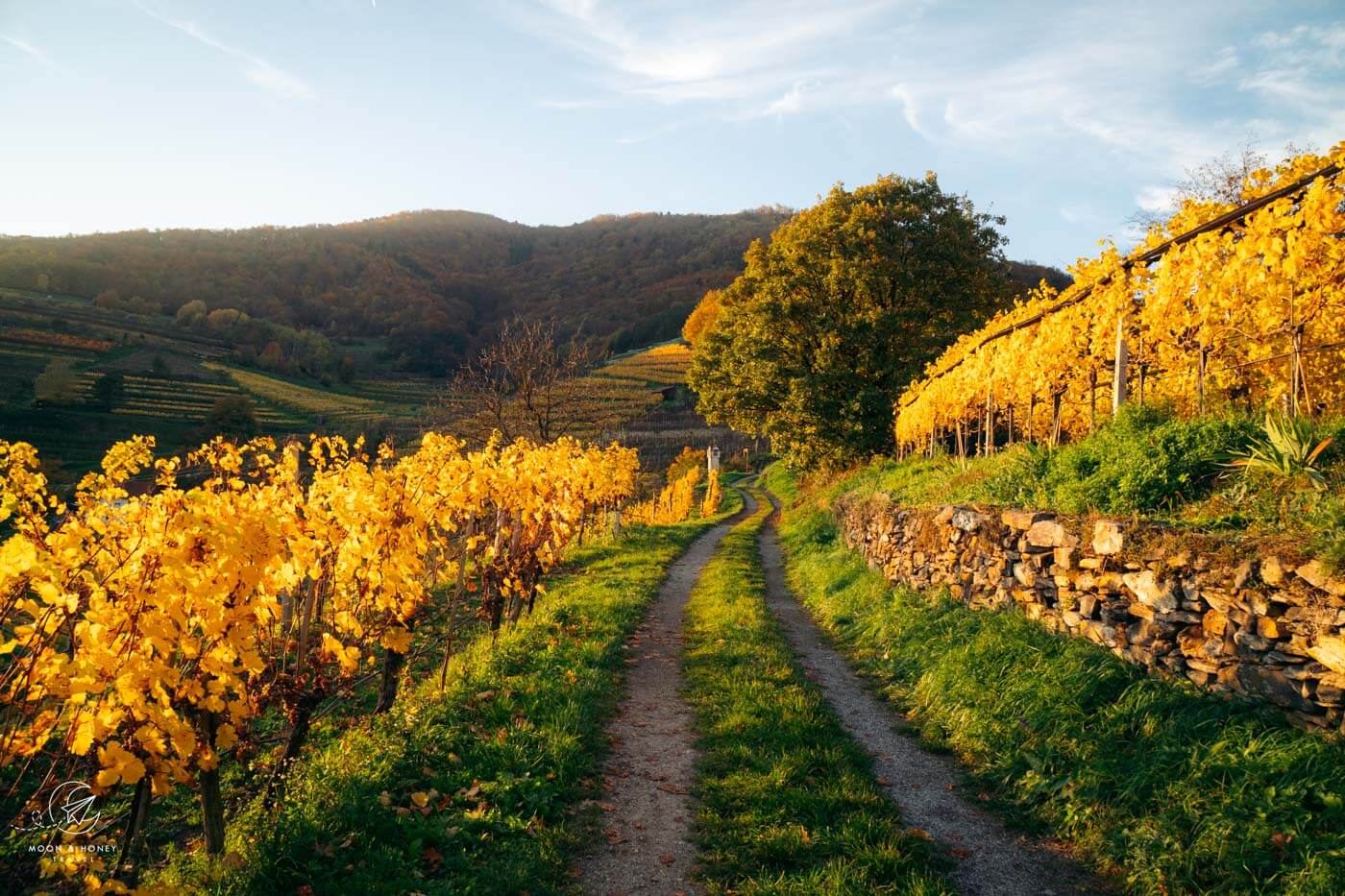 Autumn in Austria: Top Destinations for a Fall Trip