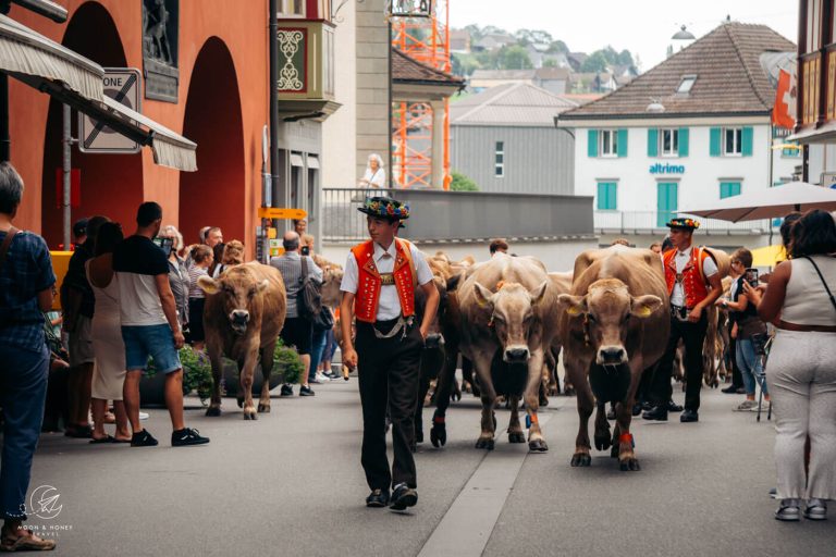 Appenzell Village: Hotels, Museums & Restaurants
