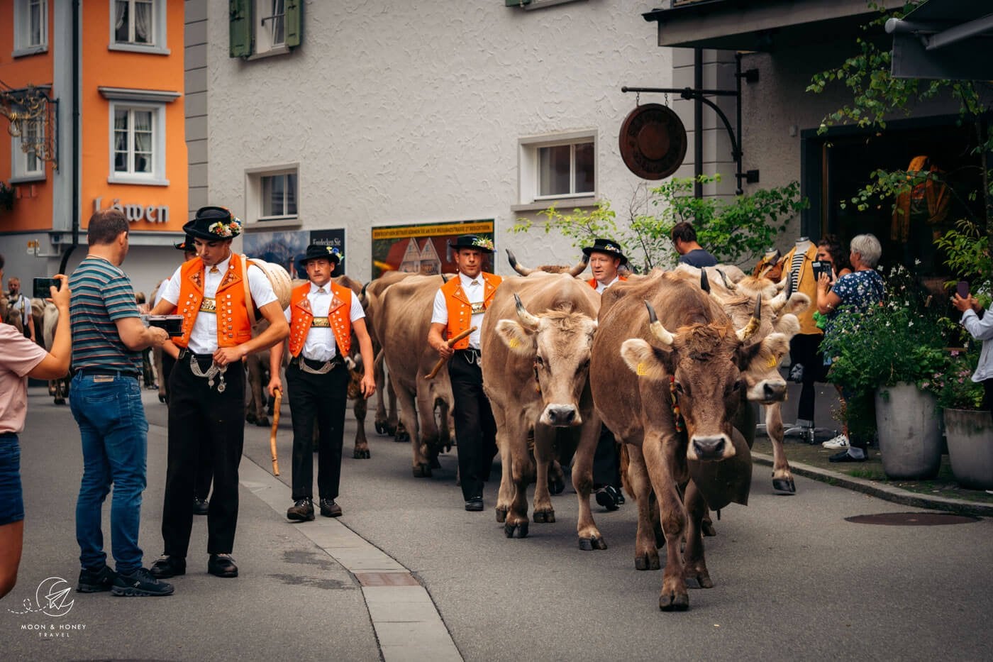 Almabtrieb: Cattle Drive Festival in Austria & the Alps