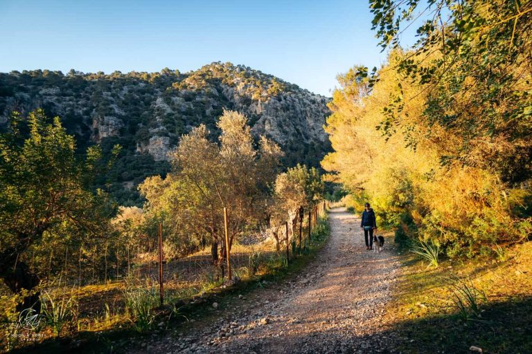 Mallorca in April: Things to Do, Weather & Tips