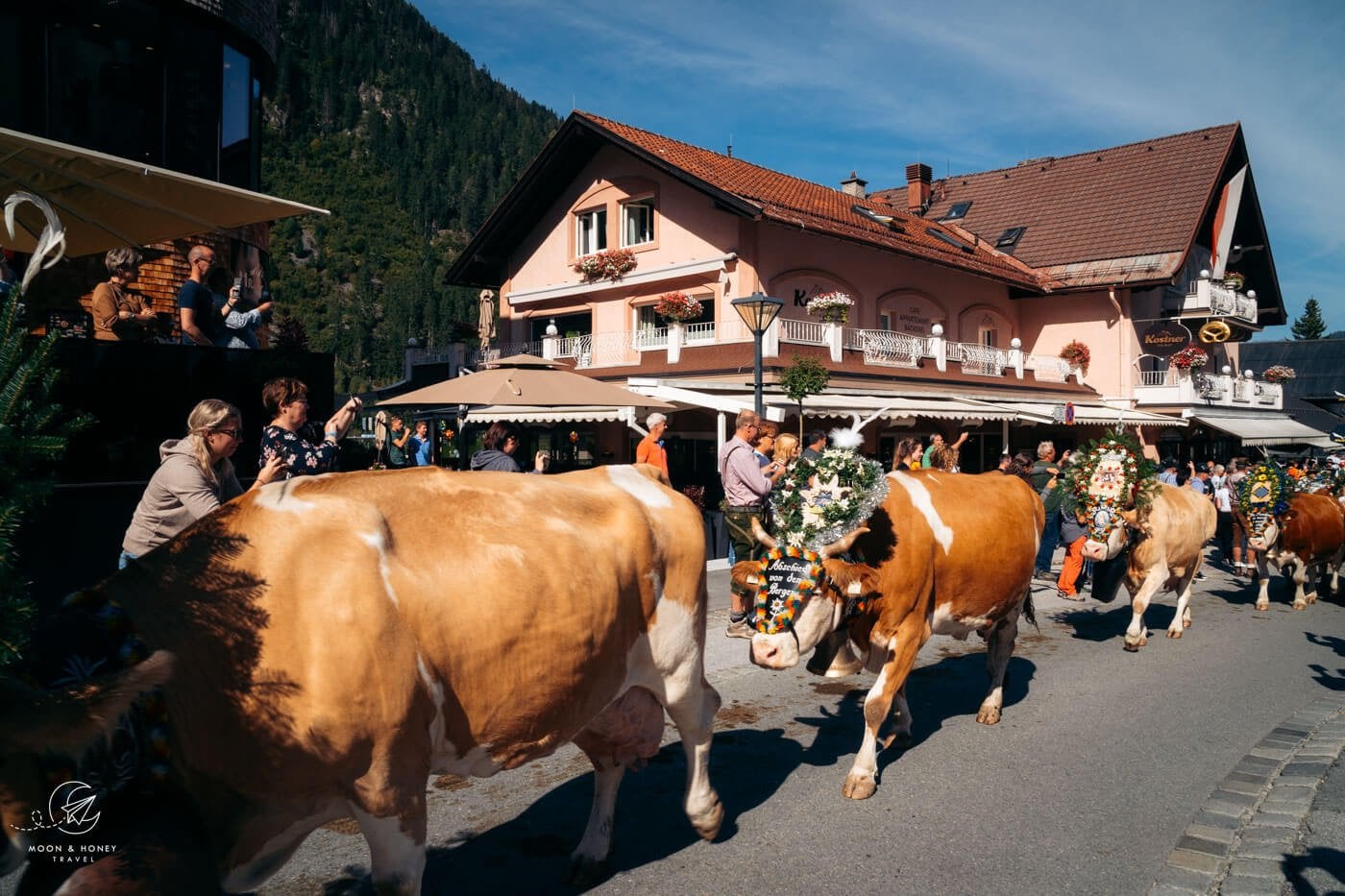 Almabtrieb: Cattle Drive Festival in Austria & the Alps