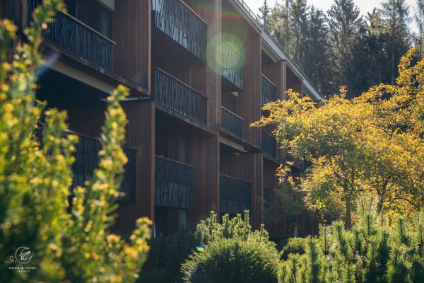 REVIEW: My Arbor Hotel - 5-Star Tree Hotel in South Tyrol