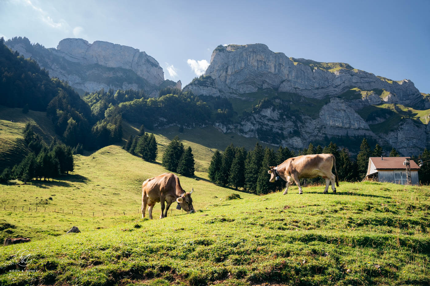 Alpstein Trek Stage 1: Wasserauen to Schäfler Hut