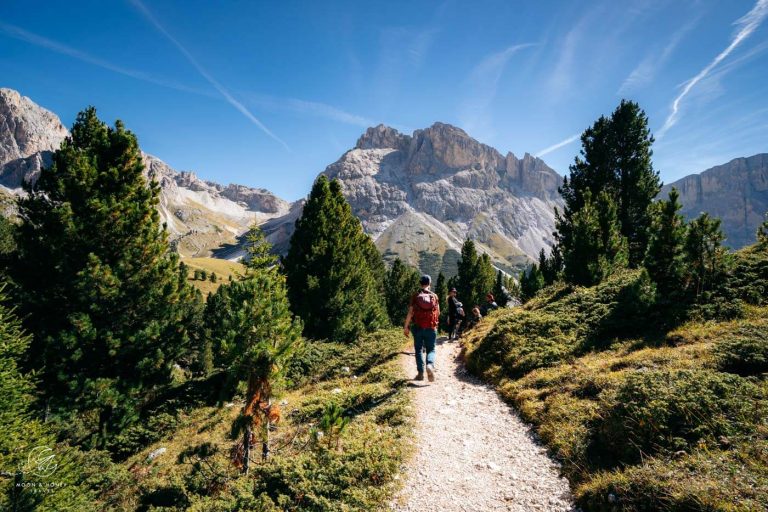 Wanderung von der Seceda zur Regensburger Hütte, Gröden