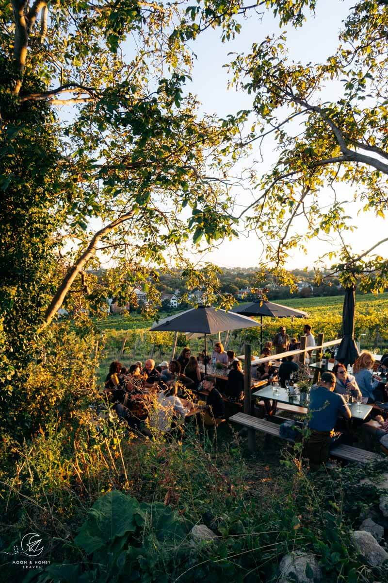 How to Visit Vienna’s Heuriger Wine Taverns + Map