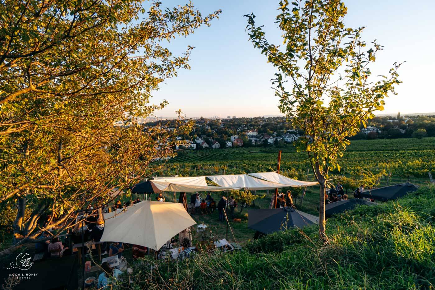 How to Visit Vienna’s Heuriger Wine Taverns + Map