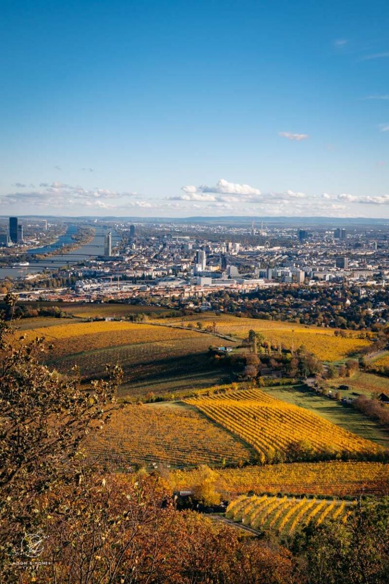 How to Hike the Vienna City Hiking Trail 1 to Kahlenberg