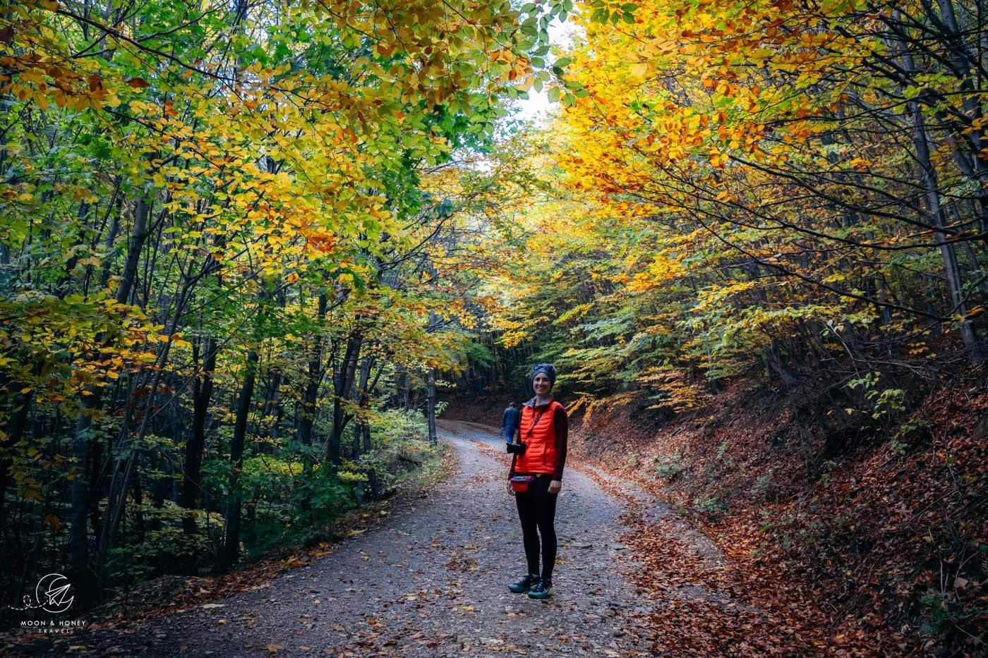 How to Hike the Vienna City Hiking Trail 1 to Kahlenberg