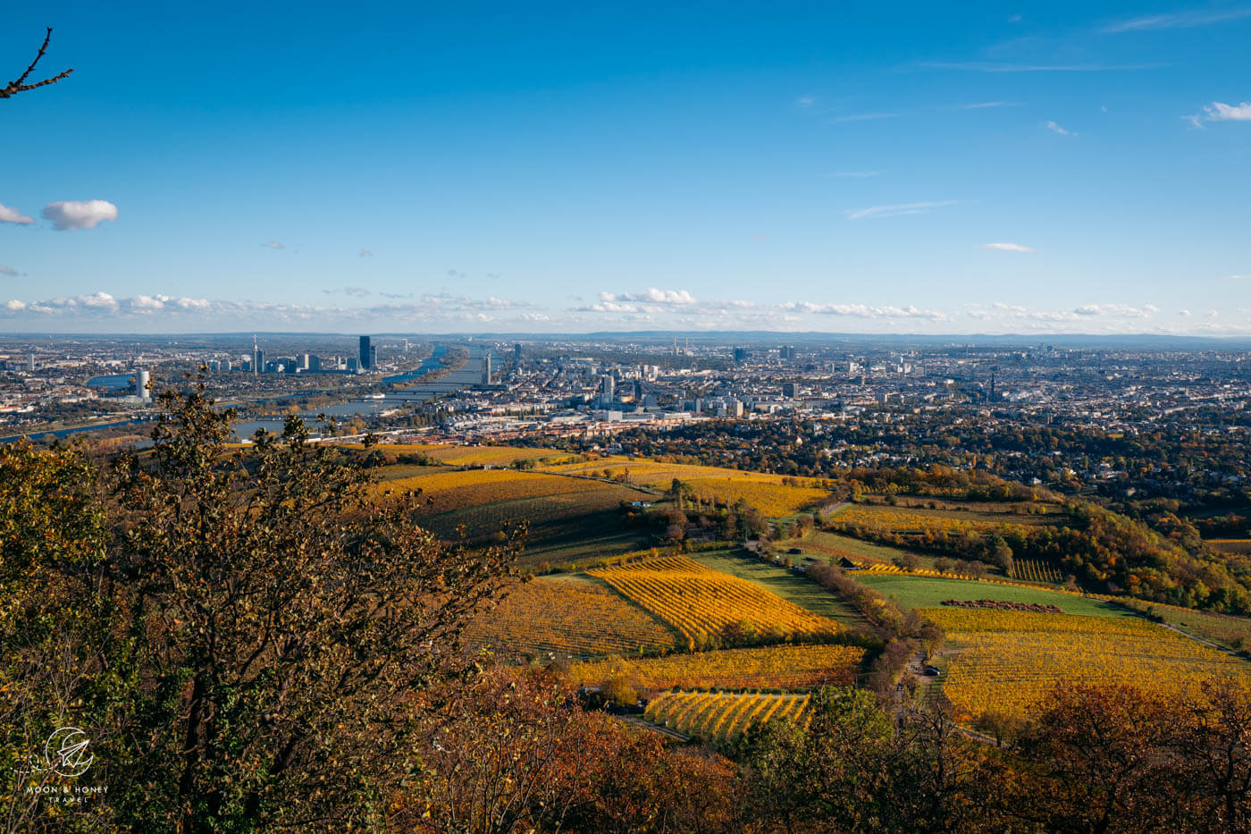 How to Hike the Vienna City Hiking Trail 1 to Kahlenberg