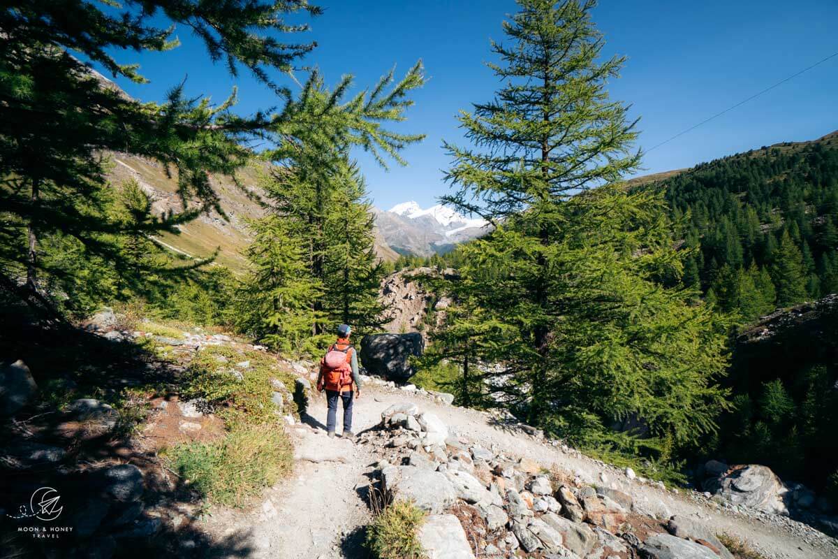 Edelweissweg Hike (Höhbalmen High Trail) in Zermatt